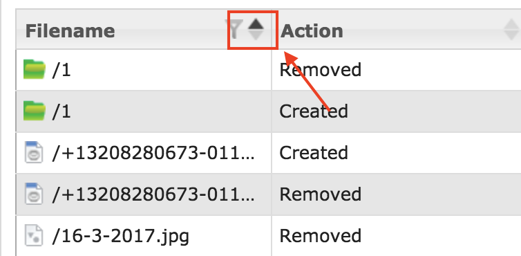 File Activity log – Nomadesk