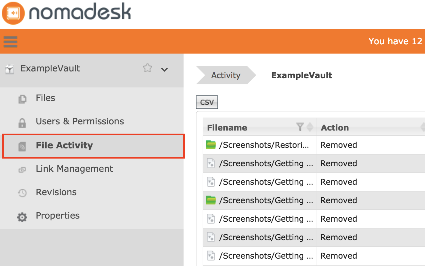 File Activity log – Nomadesk